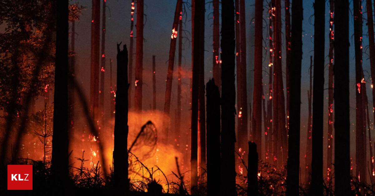 Große Waldbrände könnten sich bis 2100 in Europa verdoppeln